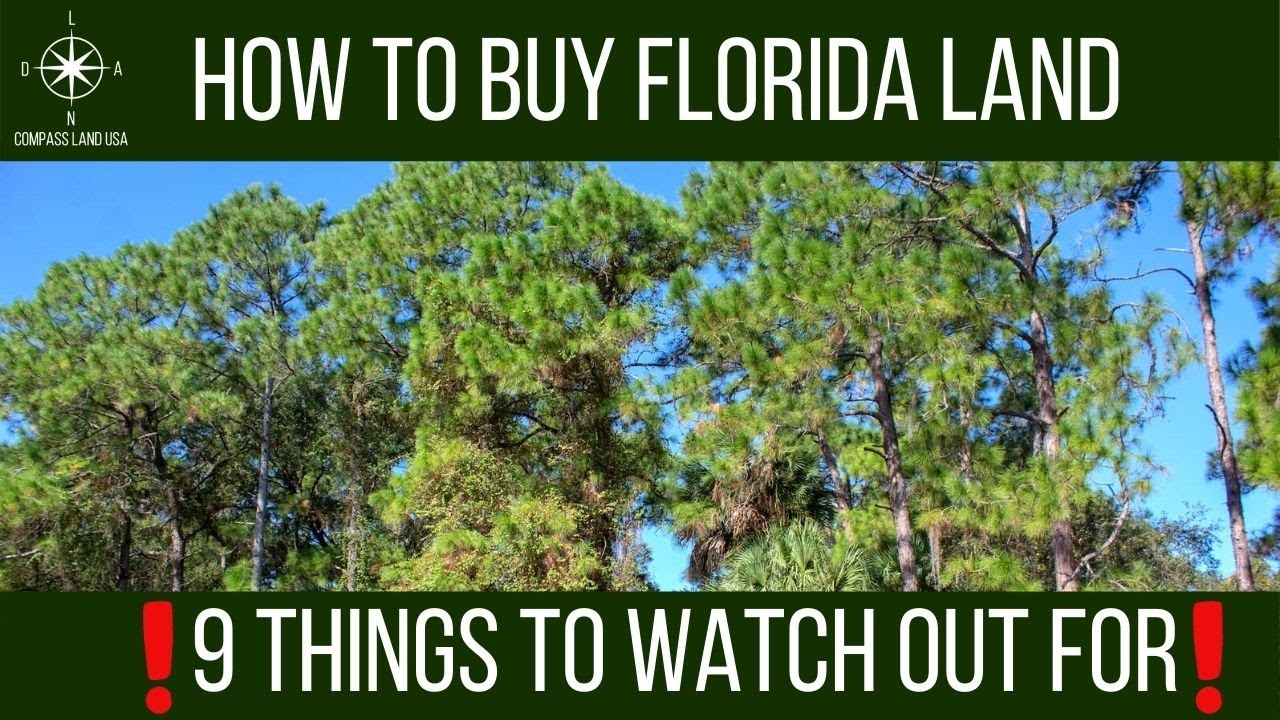 9 Key Things To Know When Buying Land in Florida